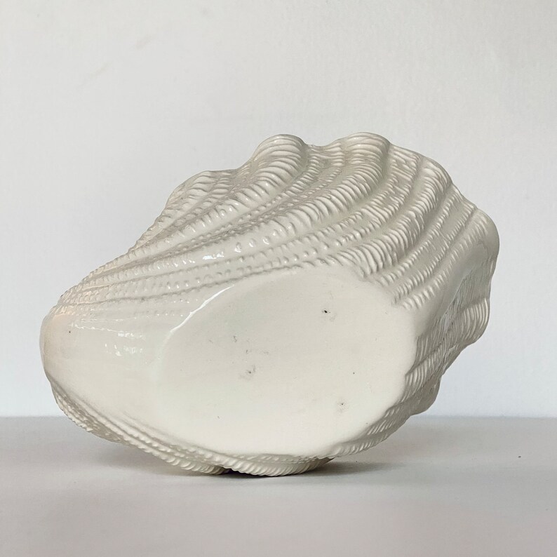 Nautilus Shell Ceramic Planter, Pink Coral Interior - Etsy