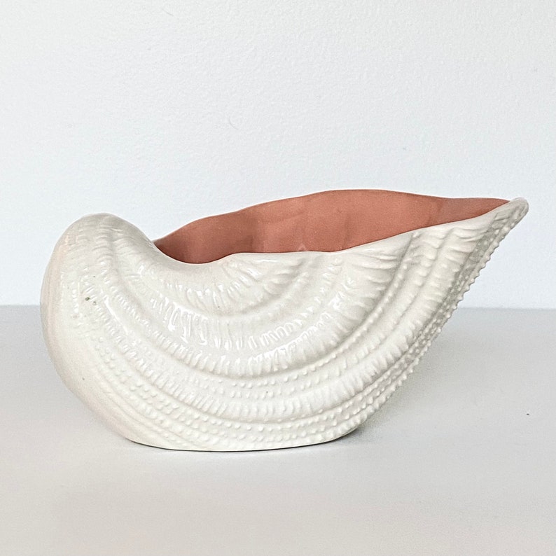 Nautilus Shell Ceramic Planter, Pink Coral Interior - Etsy