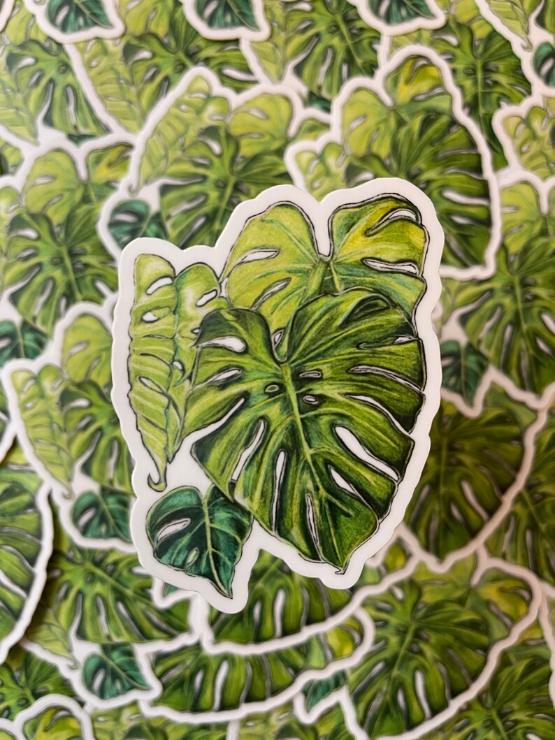 Monstera Sticker - Etsy