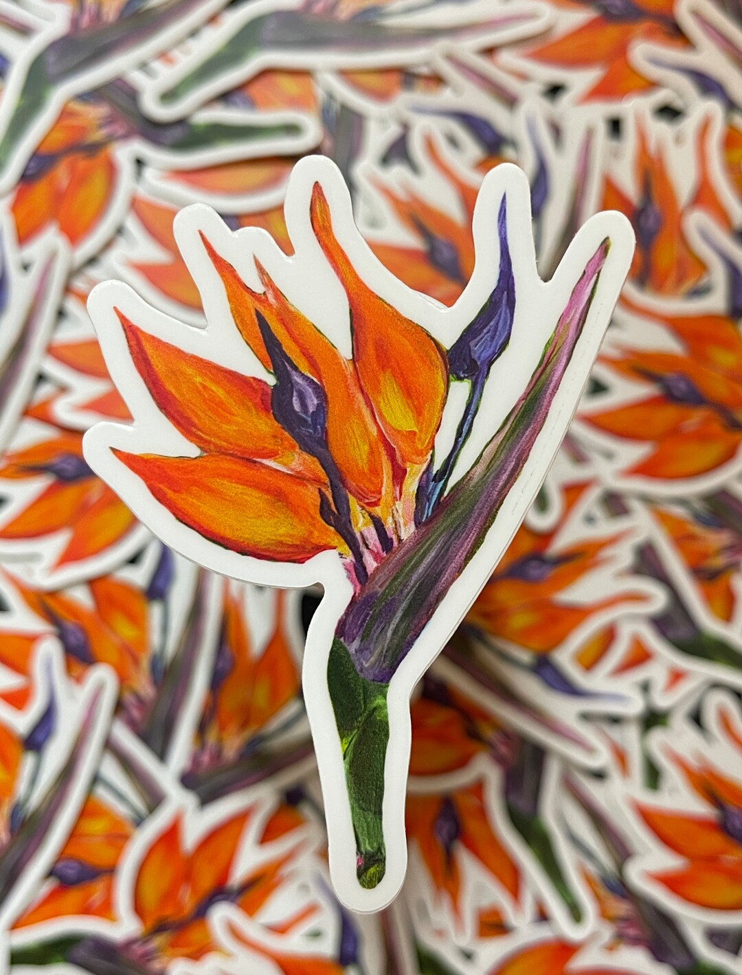 Birds of Paradise Sticker - Etsy