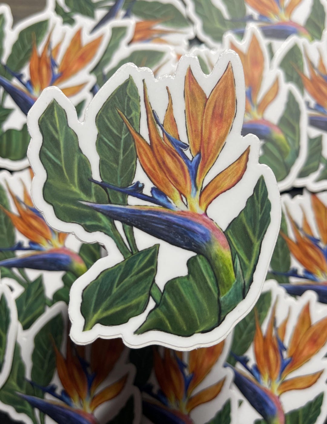 Birds of Paradise Sticker - Etsy