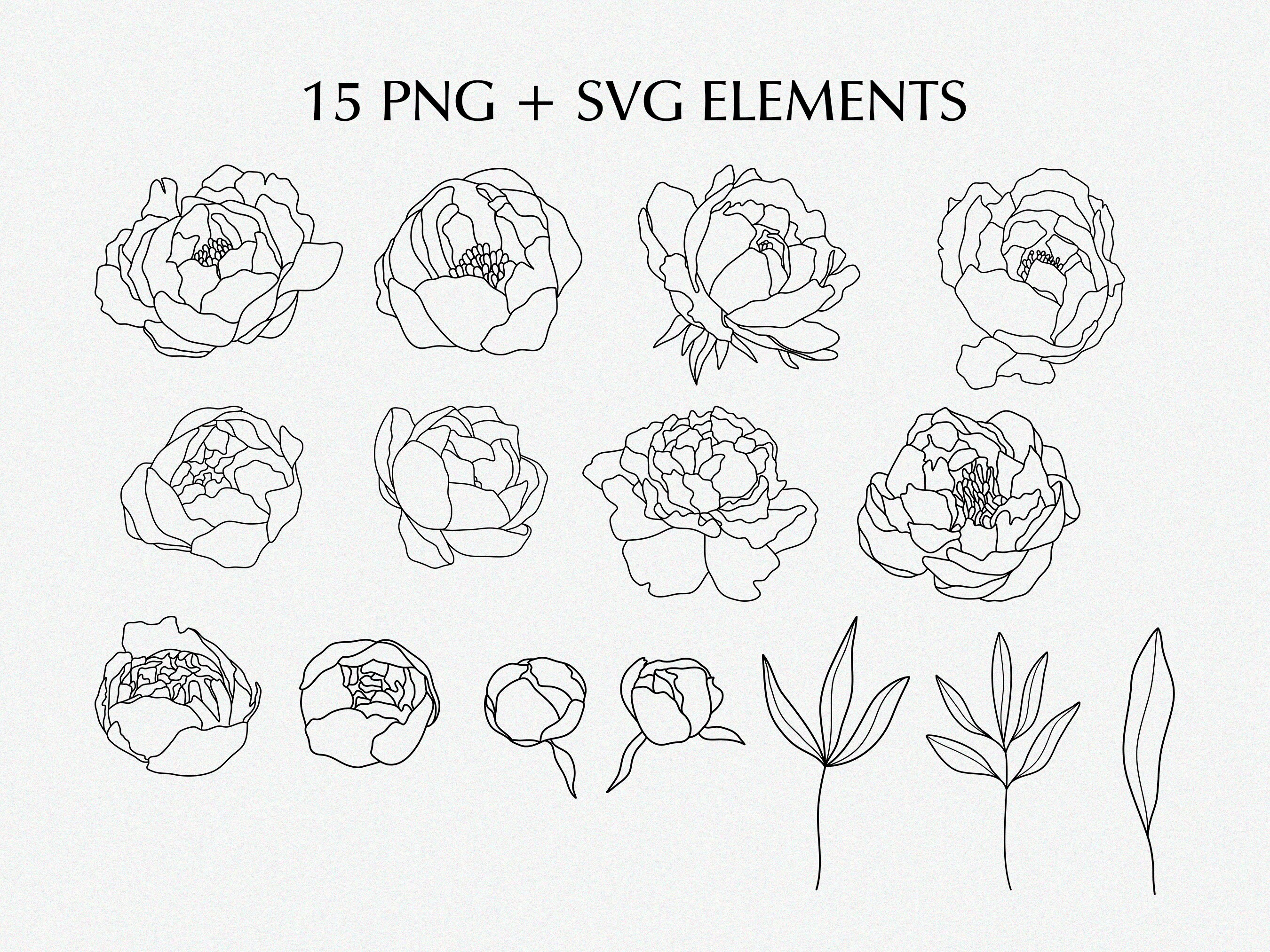 Peony Flowers SVG PNG Bundle, Hand Drawn Flowers, Flower Clipart - Etsy