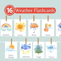 Chinese Action Verbs 3-part Montessori Cards, 20 Printable Chinese ...