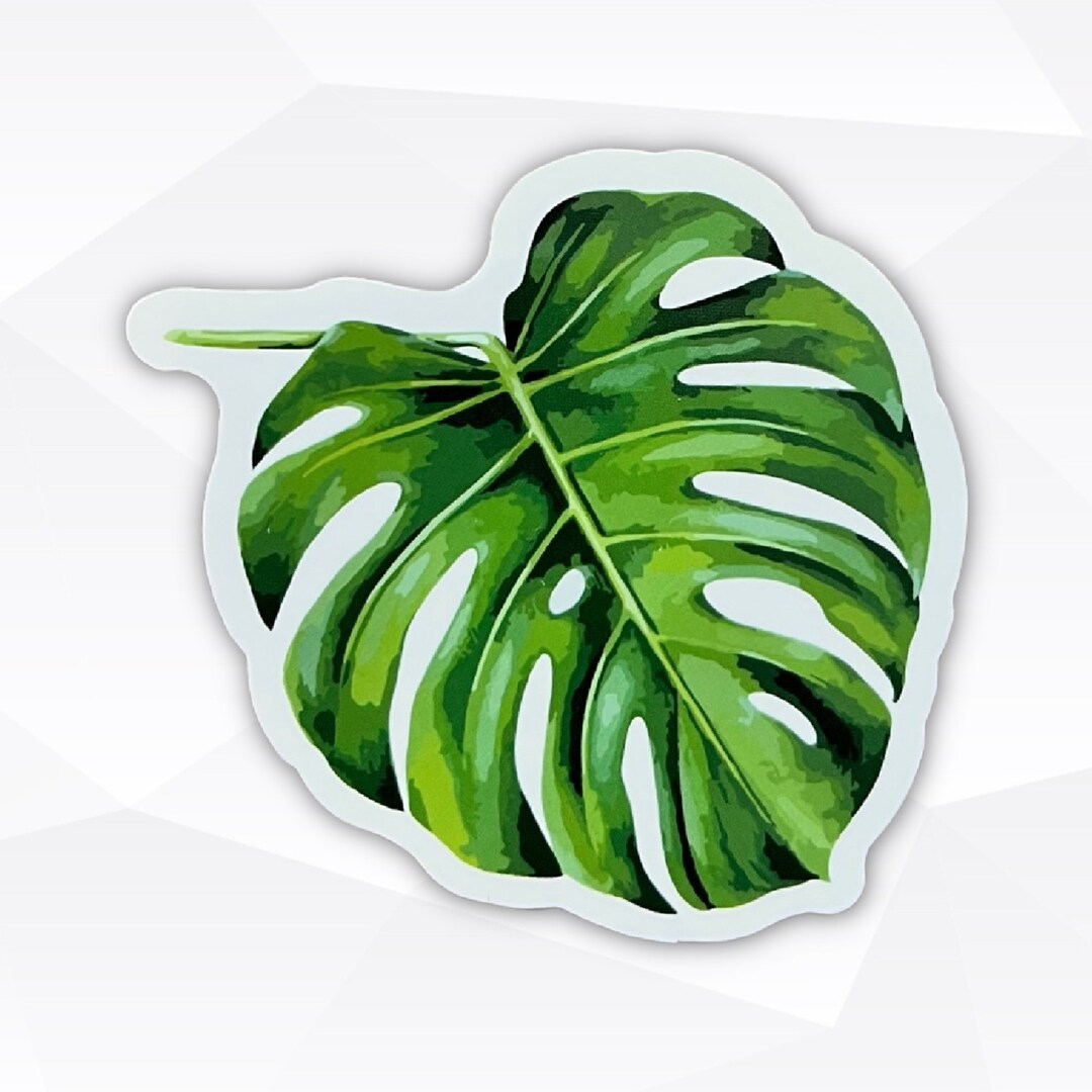 Monstera Sticker Plant Sticker Nature Decal Leaf Sticker Plant Label - Etsy
