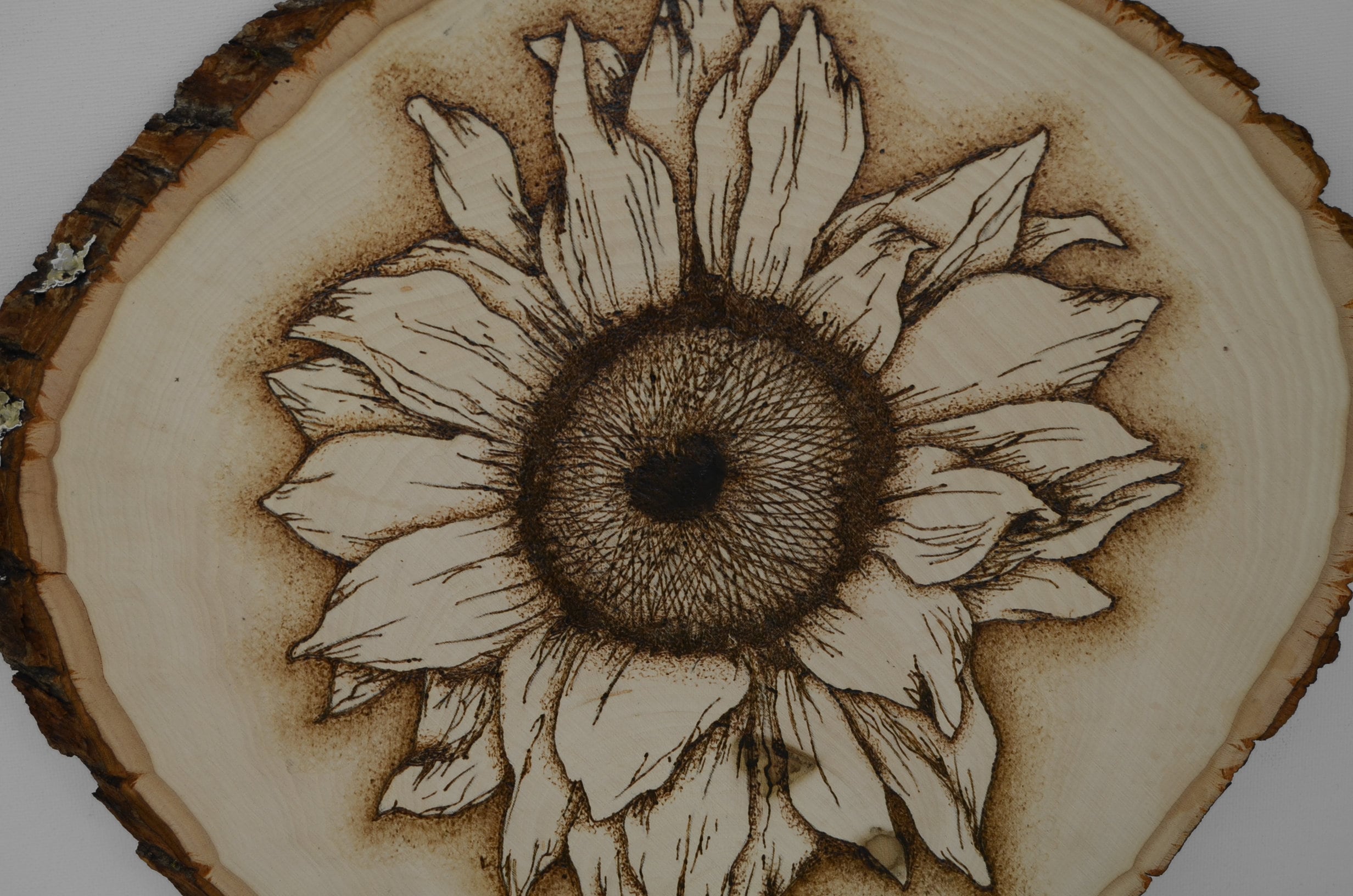 Wood Burned Sunflower - Etsy