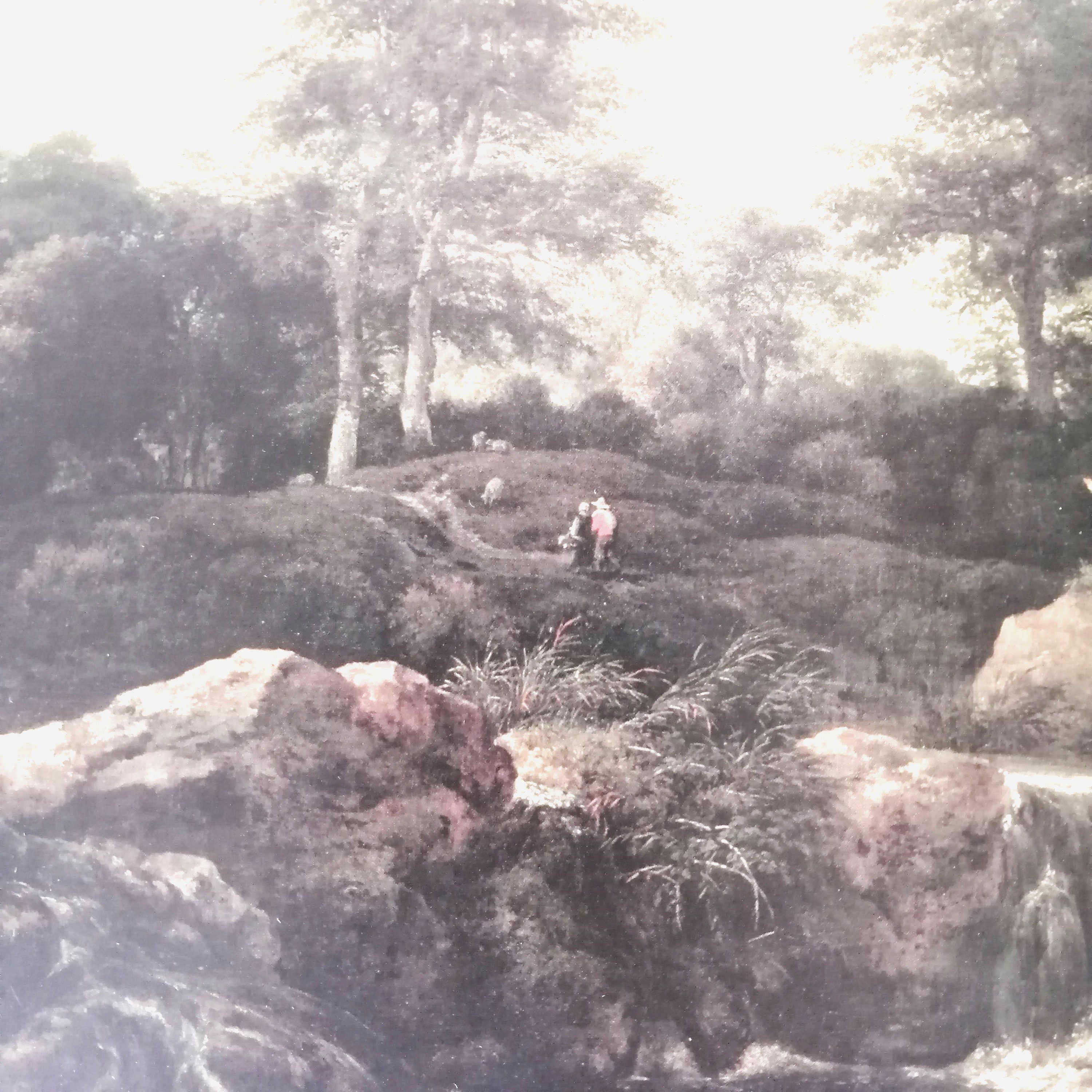 FOREST SCENE Print by Jacob Van Ruisdael National Gallery of - Etsy Canada