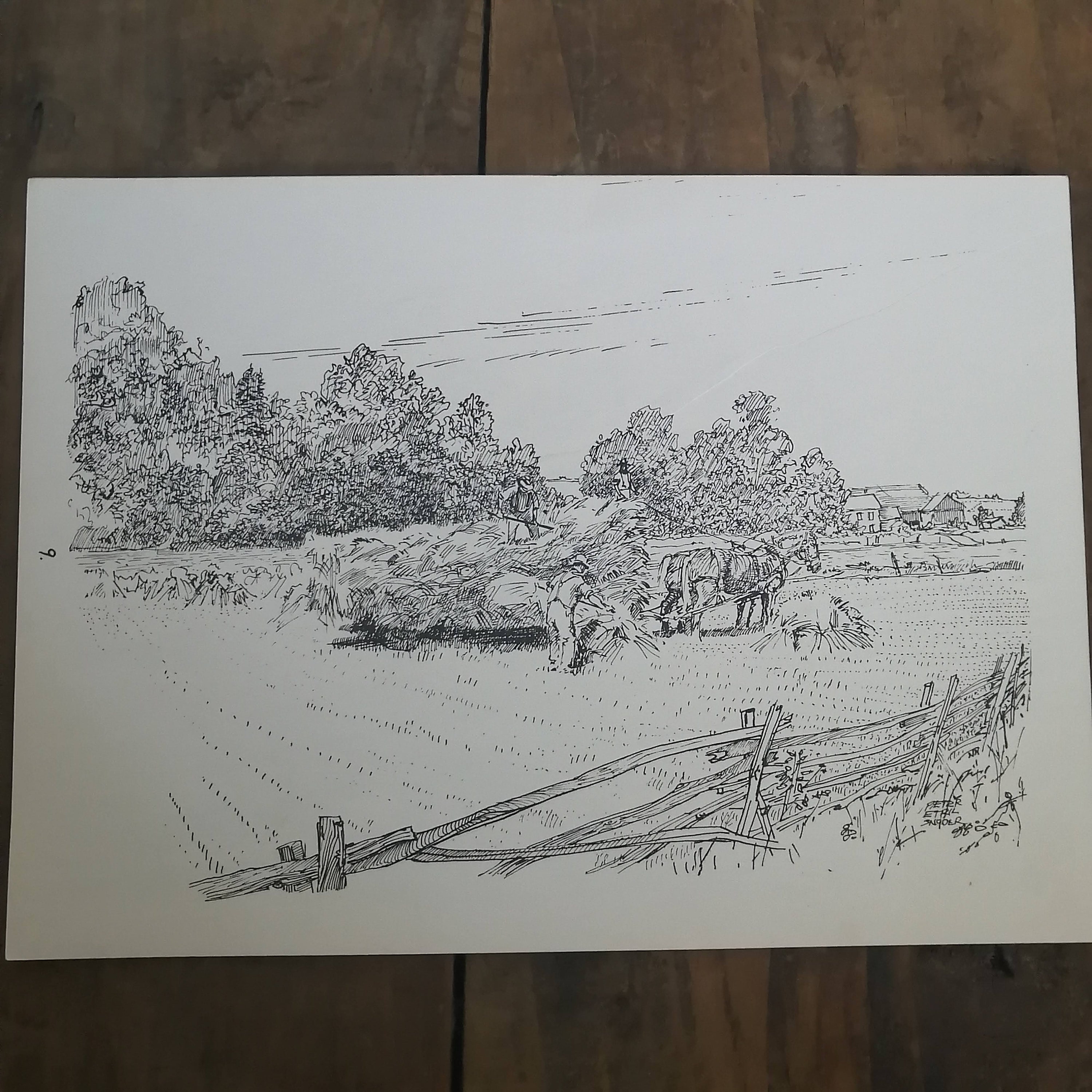 Printed Artist Sketches of AMISH Life in Waterloo Region of - Etsy