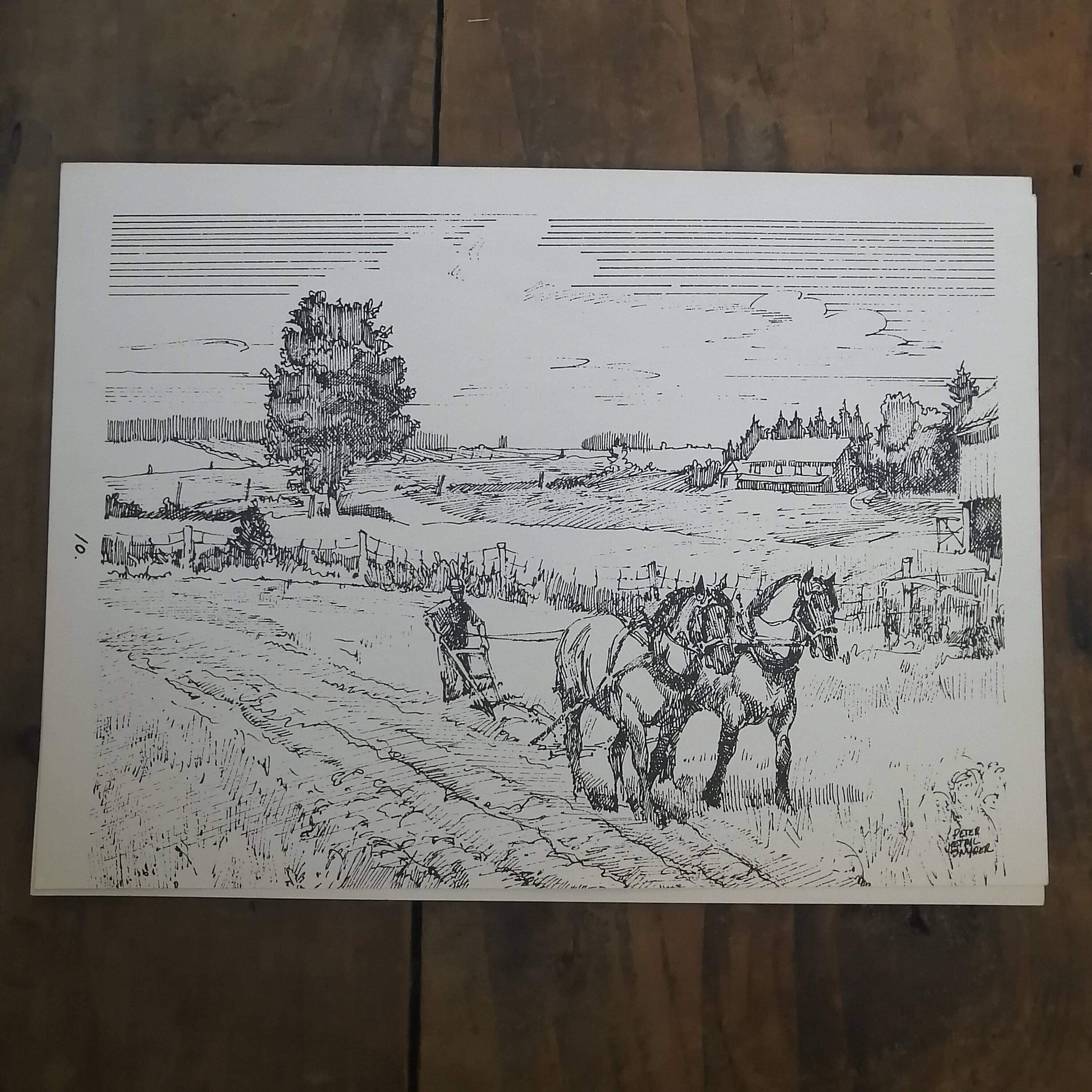 Printed Artist Sketches of AMISH Life in Waterloo Region of - Etsy