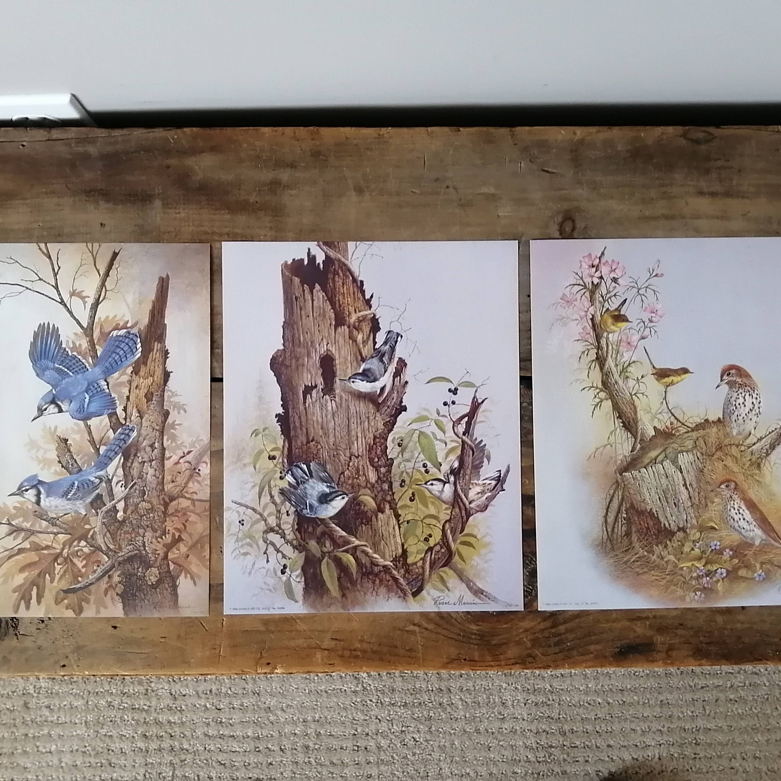 Donald Art Company Litho