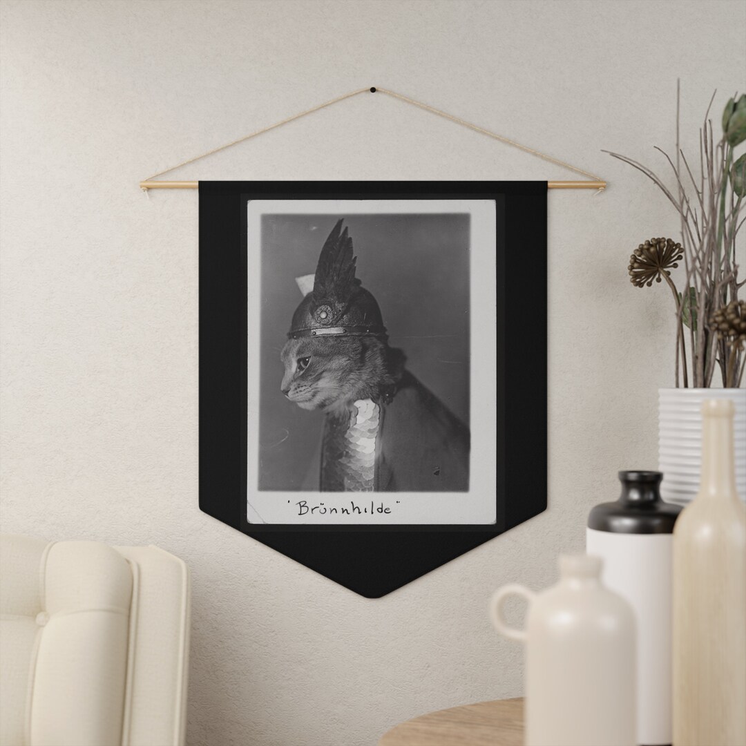 Cat Brunnhilde Pennant Dorm/school/student/vintage/opera/photo/fun/cute ...