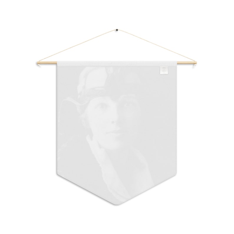 Amelia Earhart Pennant Aviation/famous/explorer/woman/plane/mystery ...