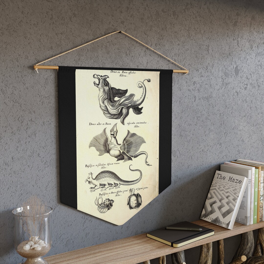 A History of Dragons (1650) Pennant Medieval/serpent/vintage ...