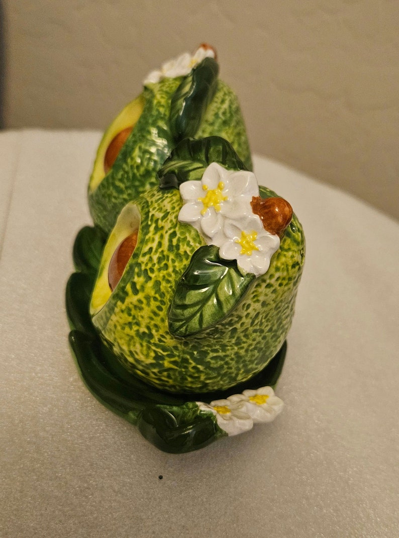 Avacado Corner Ruby CR Tropical Fruit Collection Salt and Pepper Shaker ...