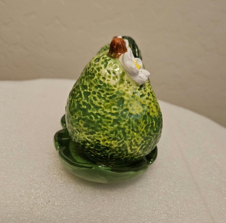 Avacado Corner Ruby CR Tropical Fruit Collection Salt and Pepper Shaker ...