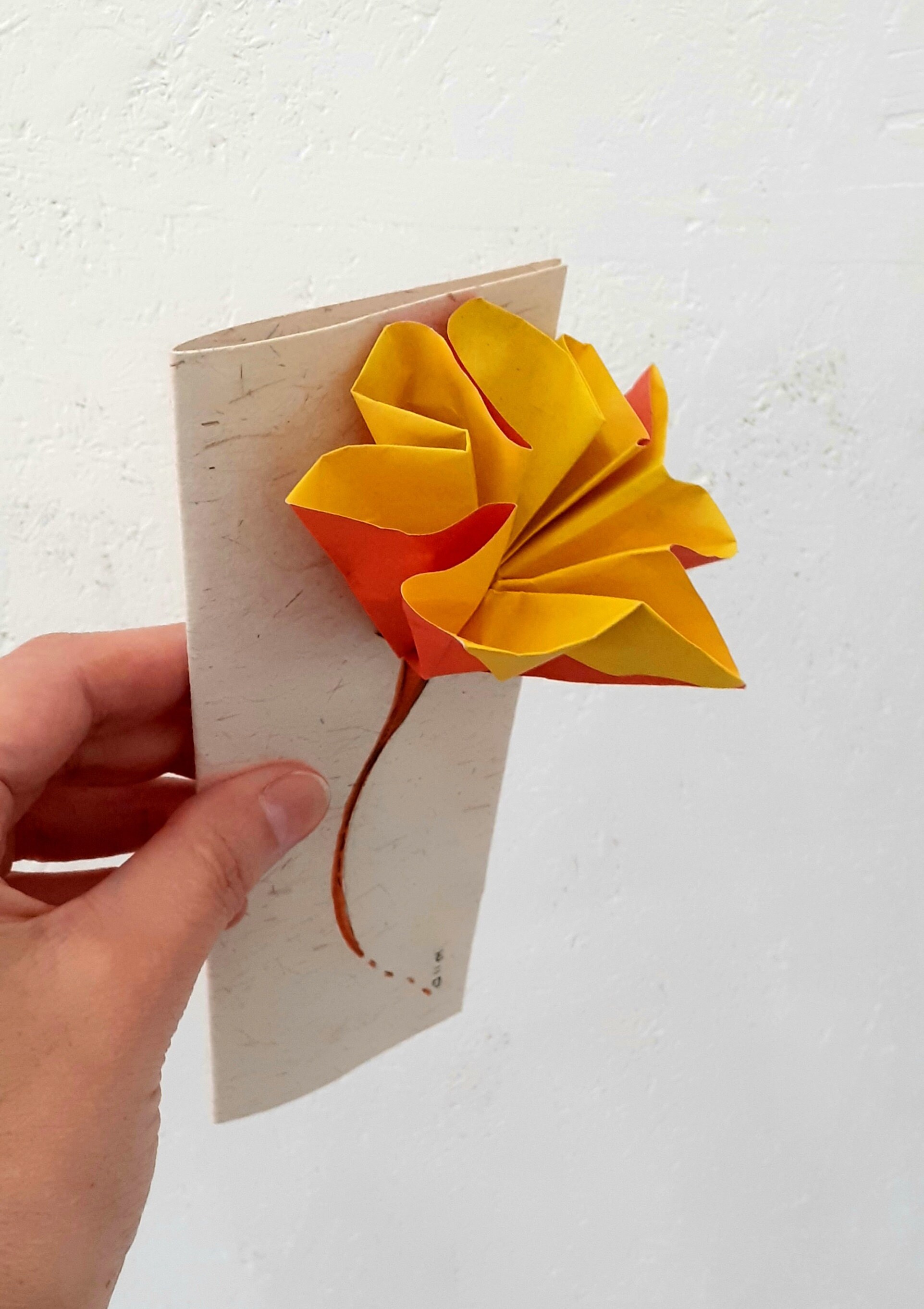 New Origami Greeting Cards - Etsy