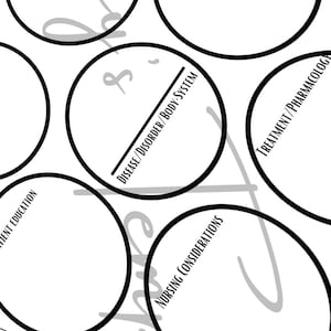 Nursing Concept Map (circles) | Nursing Map Guide - Etsy