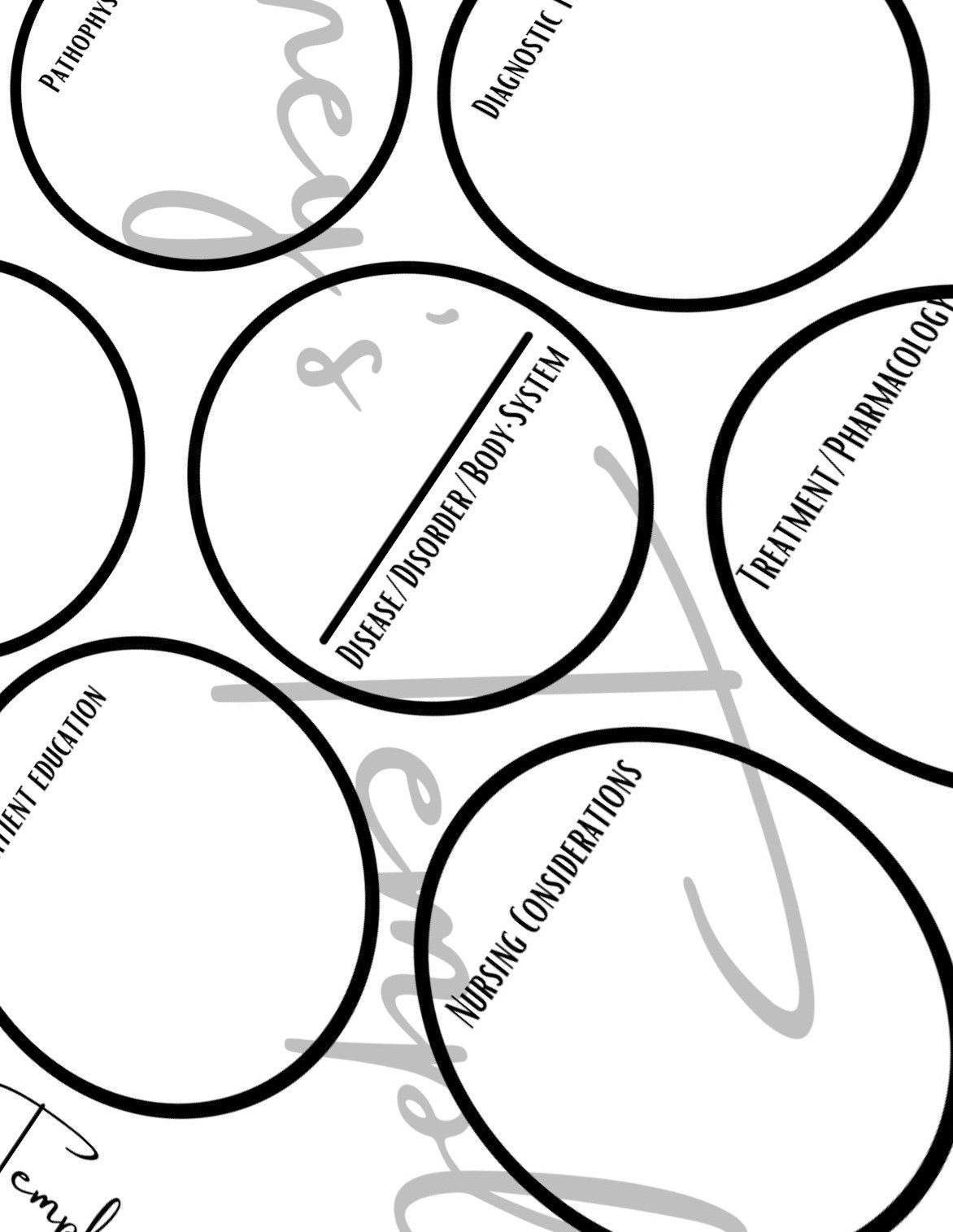 Nursing Concept Map circles Nursing Map Guide - Etsy