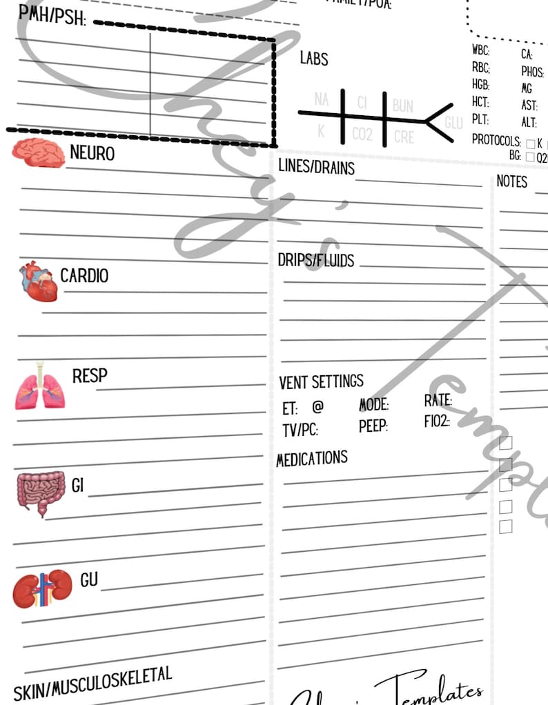 The Go to Nurse Report Sheet | Handoff Report | Nurse Brain Sheet ...