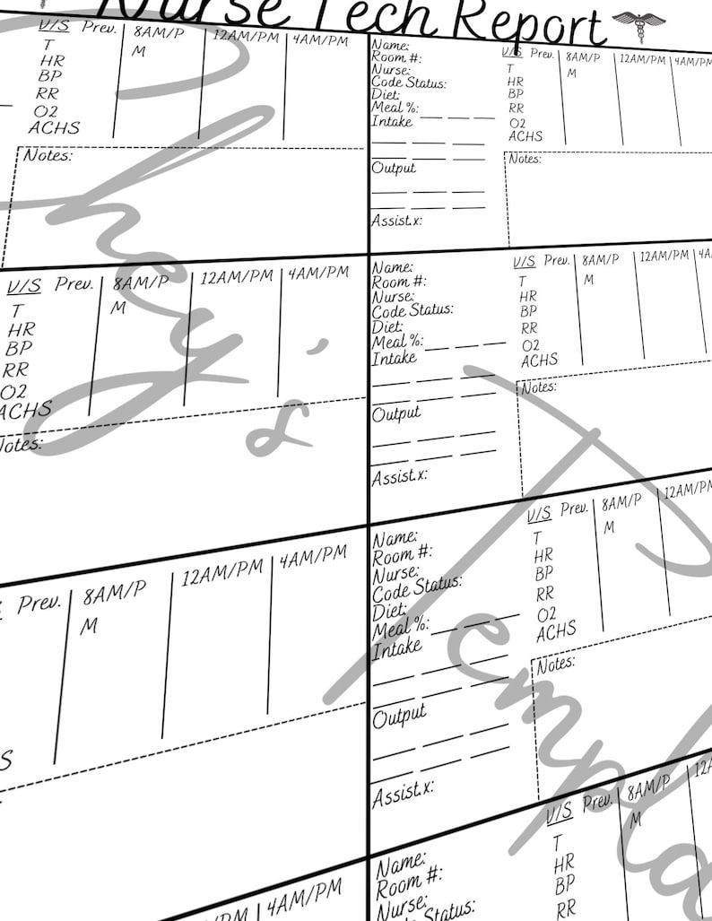 Nurse Tech Sheet 2 | Patient Care Report Sheet | Report Sheet - Etsy