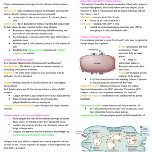 Lymphatic System and Immunity- Anatomy and Physiology- Nursing School ...