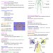 Lymphatic System and Immunity- Anatomy and Physiology- Nursing School ...