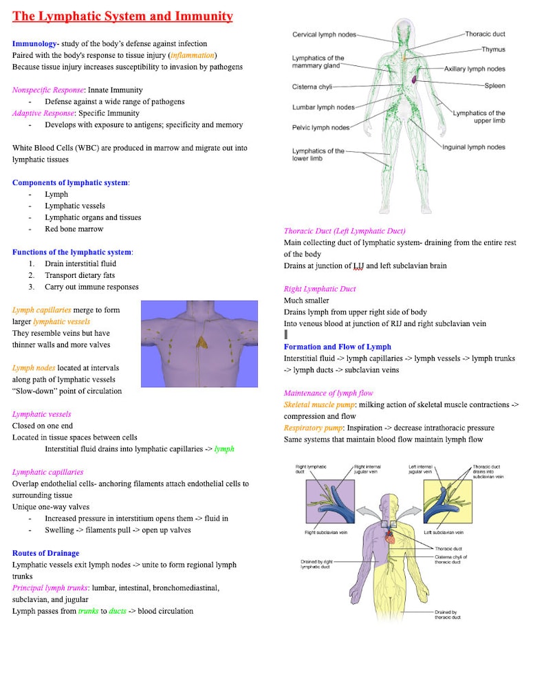 Lymphatic System and Immunity- Anatomy and Physiology- Nursing School ...