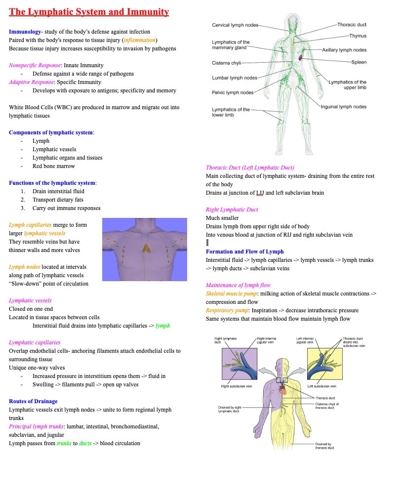 Lymphatic System and Immunity- Anatomy and Physiology- Nursing School ...
