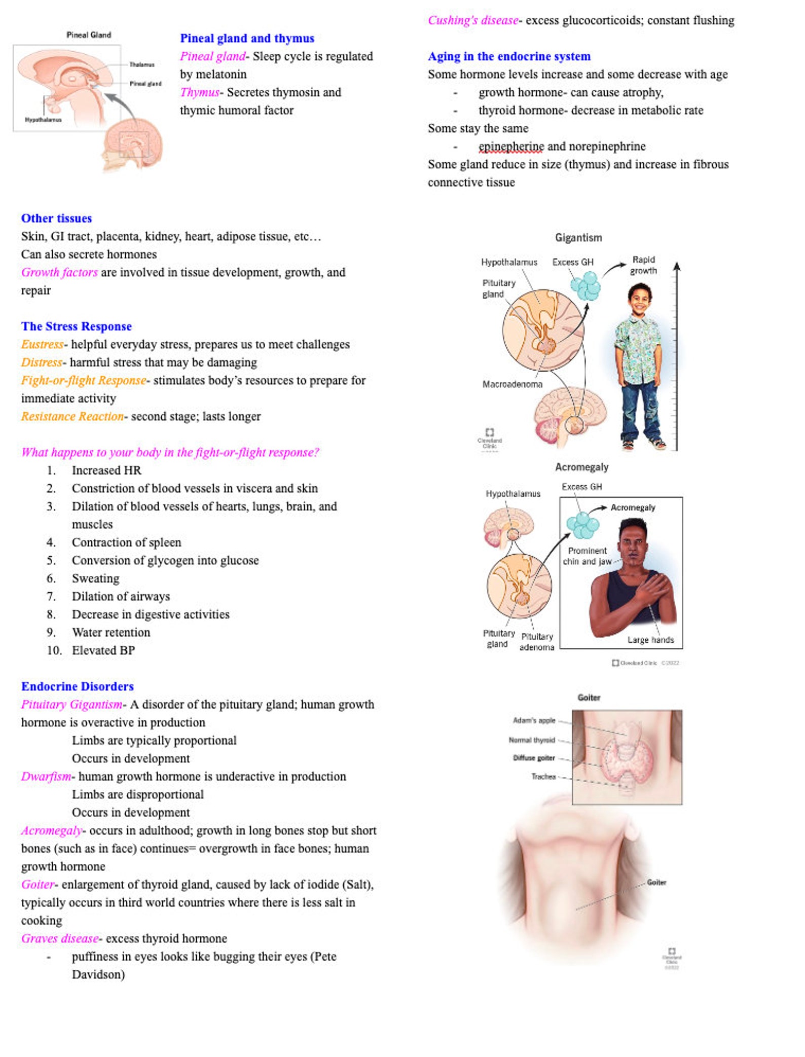 Endocrine System Notes- Anatomy and Physiology- Nursing School ...
