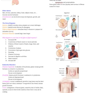 Endocrine System Notes- Anatomy and Physiology- Nursing School ...