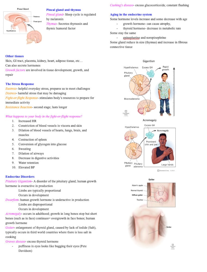 Endocrine System Notes- Anatomy and Physiology- Nursing School ...