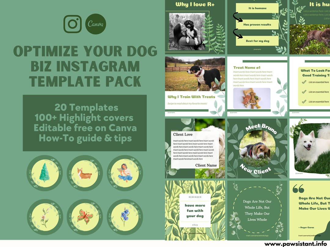 GREEN Instagram Templates Dog Instagram Pet Business Social Media ...