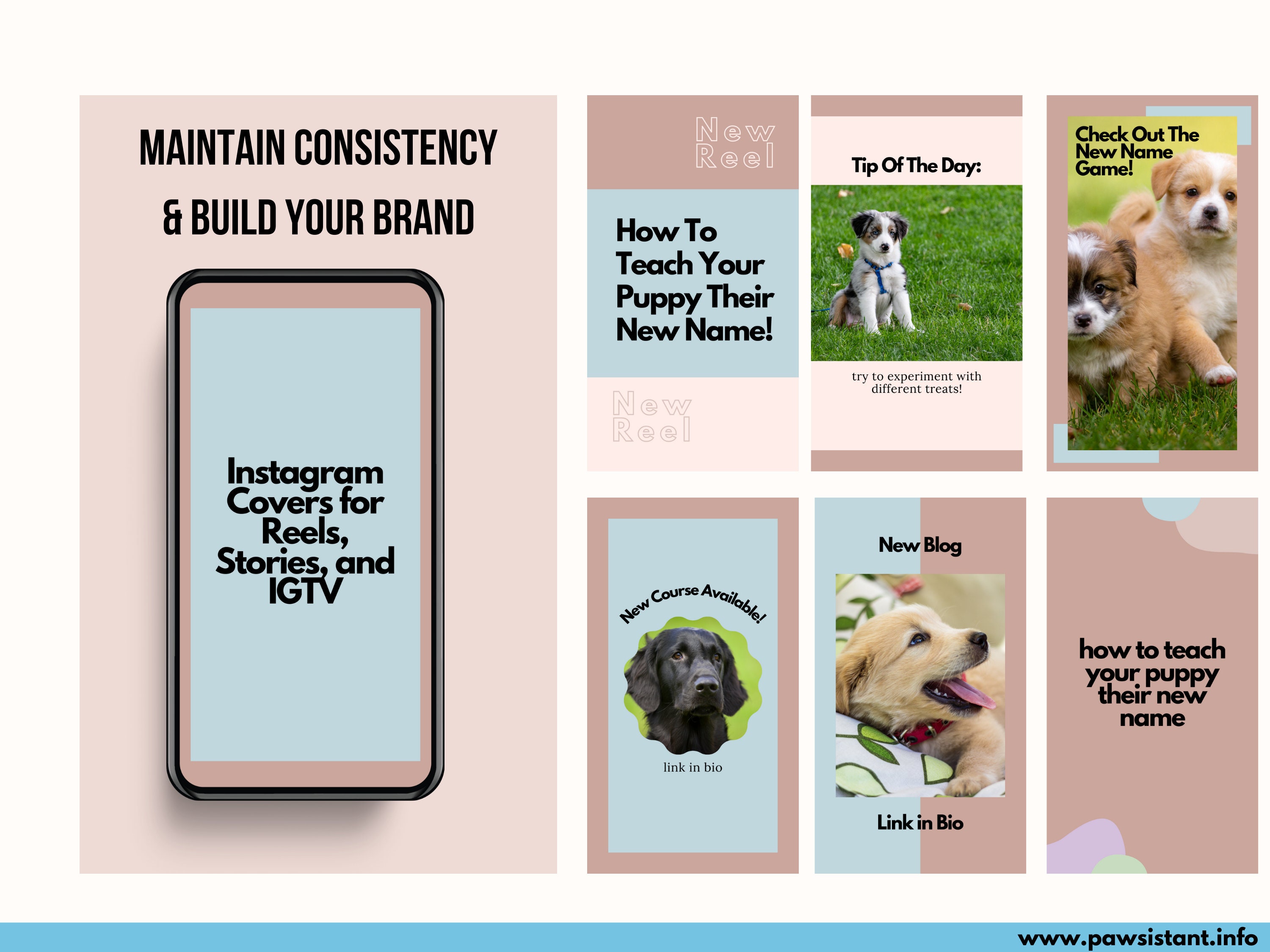 50 Instagram Templates for Dog Business Owner Pet Business - Etsy