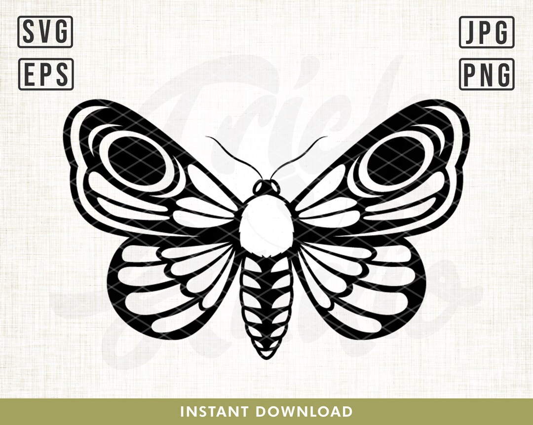 Butterfly Svg, Moth Svg, Butterfly Insect Svg, Butterfly Svg File ...