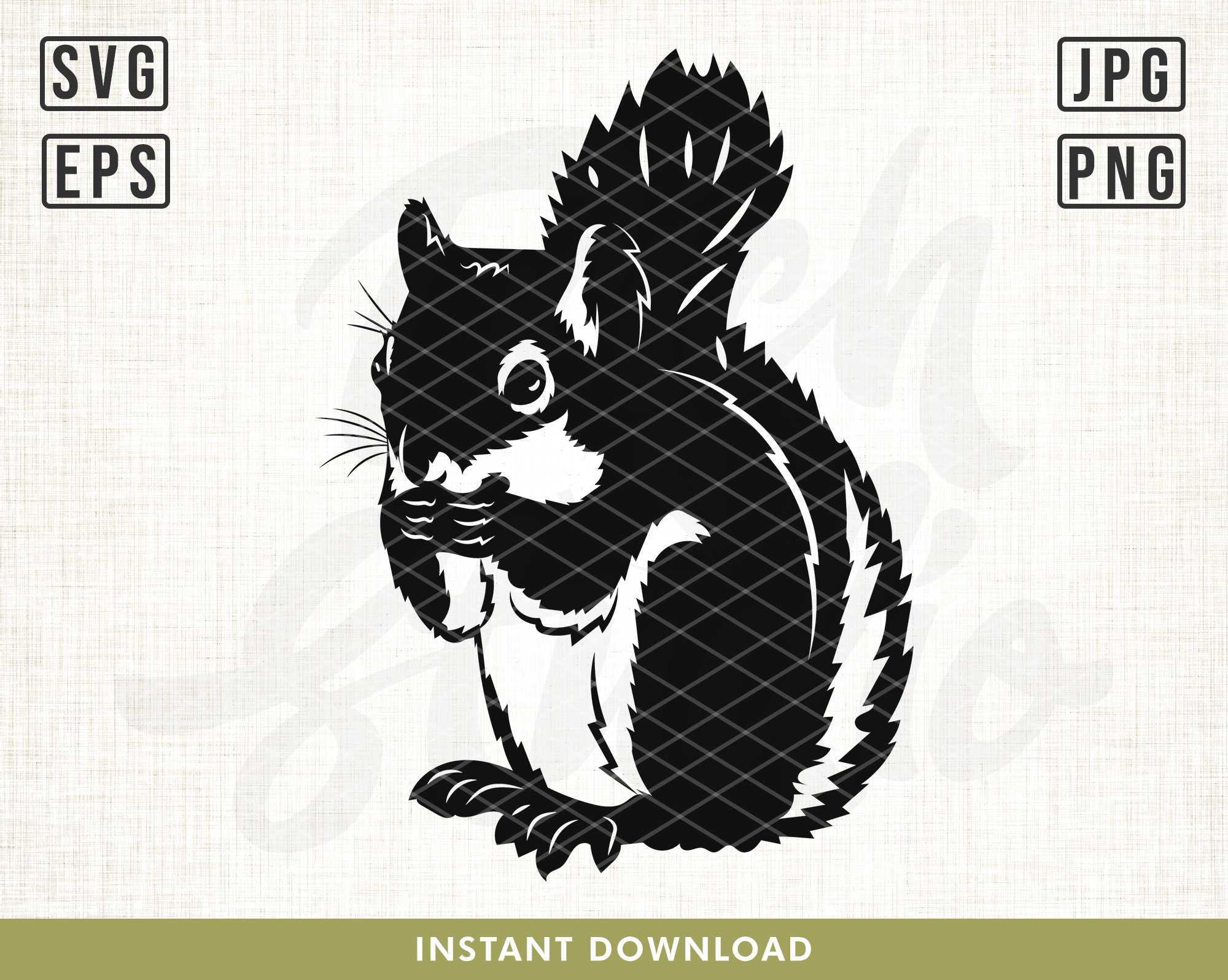 Squirrel Svg Files, Eating Squirrel Svg, Squirrel Eating Peanut Svg ...