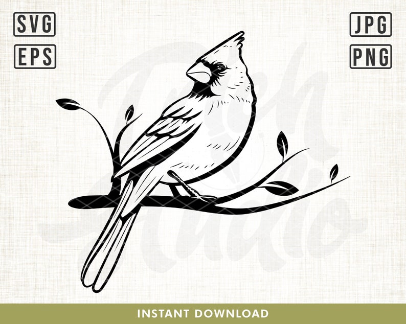 Cardinal Bird Svg, Cardinal Svg, Bird Svg, Memorial Svg, Winter Svg ...