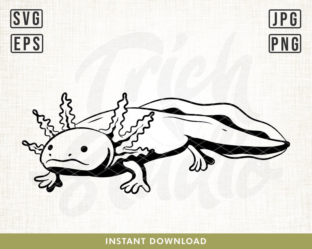 Axolotl Svg, Cute Axolotl Svg, Axolotl Cut File for Cricut Silhouette ...