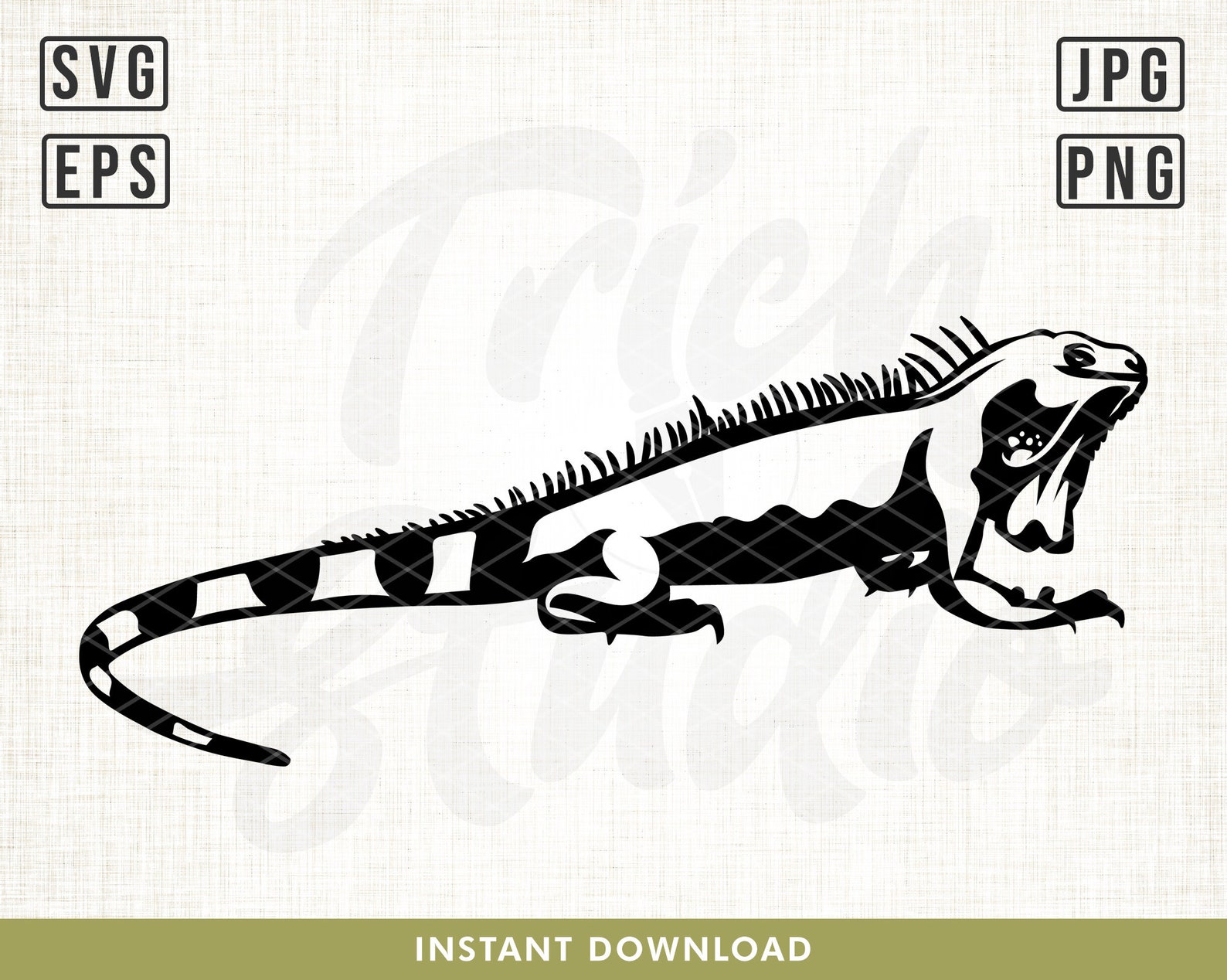 Iguana Svg File, Lizard Svg, Reptile Svg, Animal Svg, Iguana T-shirt ...