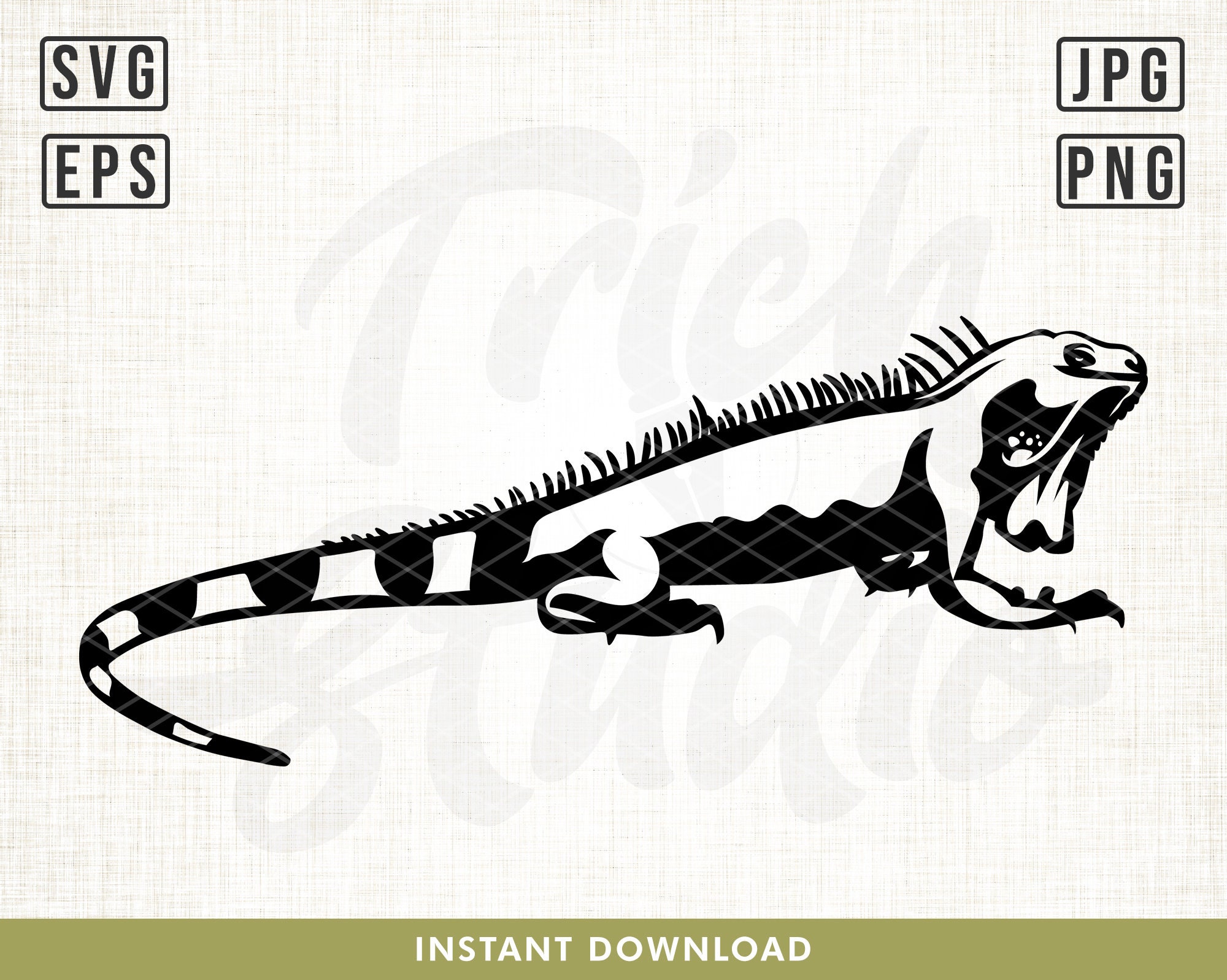 Iguana Clipart Black And White