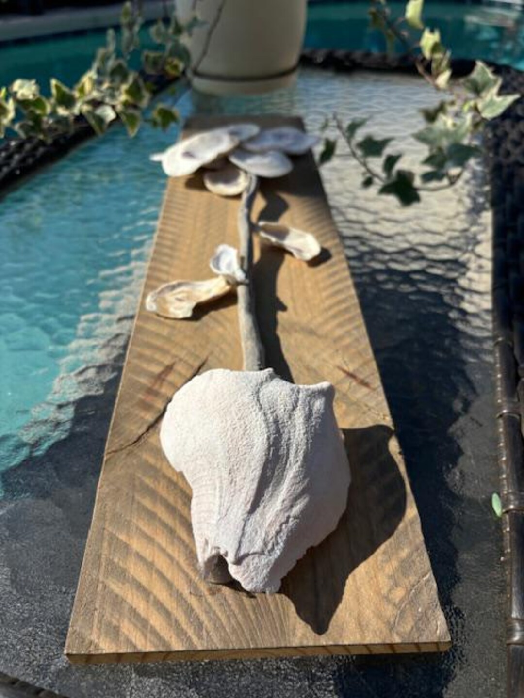 Shell Flower Wall Art - Etsy