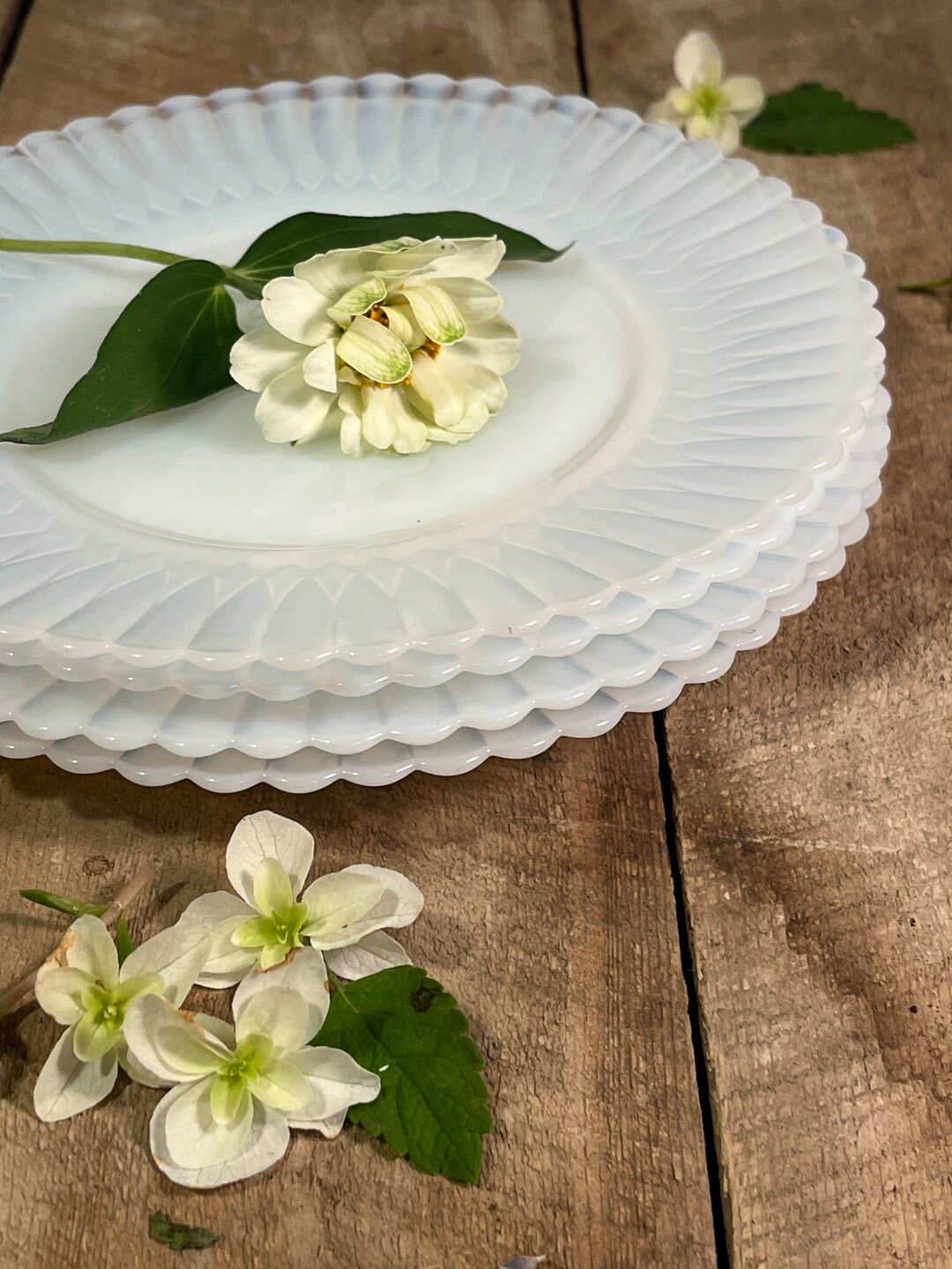 Macbeth Evans Petalware 5-1/4 Dessert Plates French Opalescent Set of 4 ...