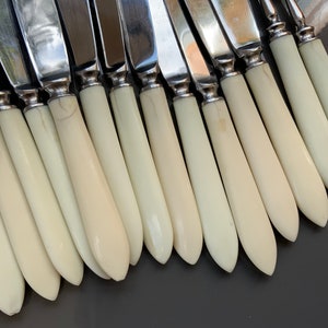 24x Antique Cutlery Set, Faux Bone Bakelite Cutlery Flatware, 12 Knives ...