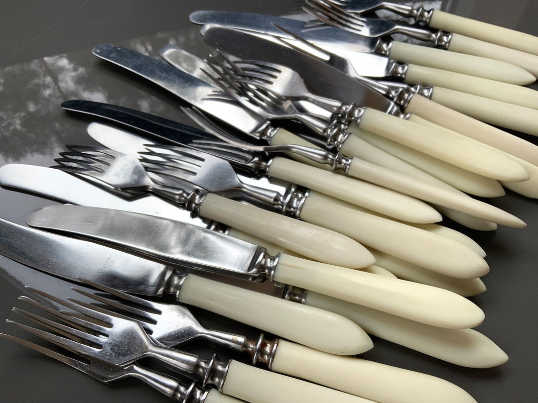 24x Antique Cutlery Set, Faux Bone Bakelite Cutlery Flatware, 12 Knives ...