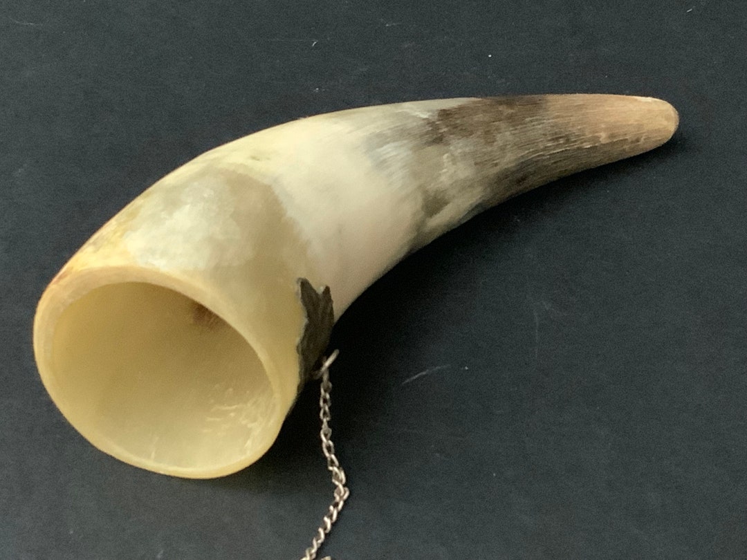 Very Small Horn Viking Horn Georgian, Traditional Wine Drinking, Horn ...