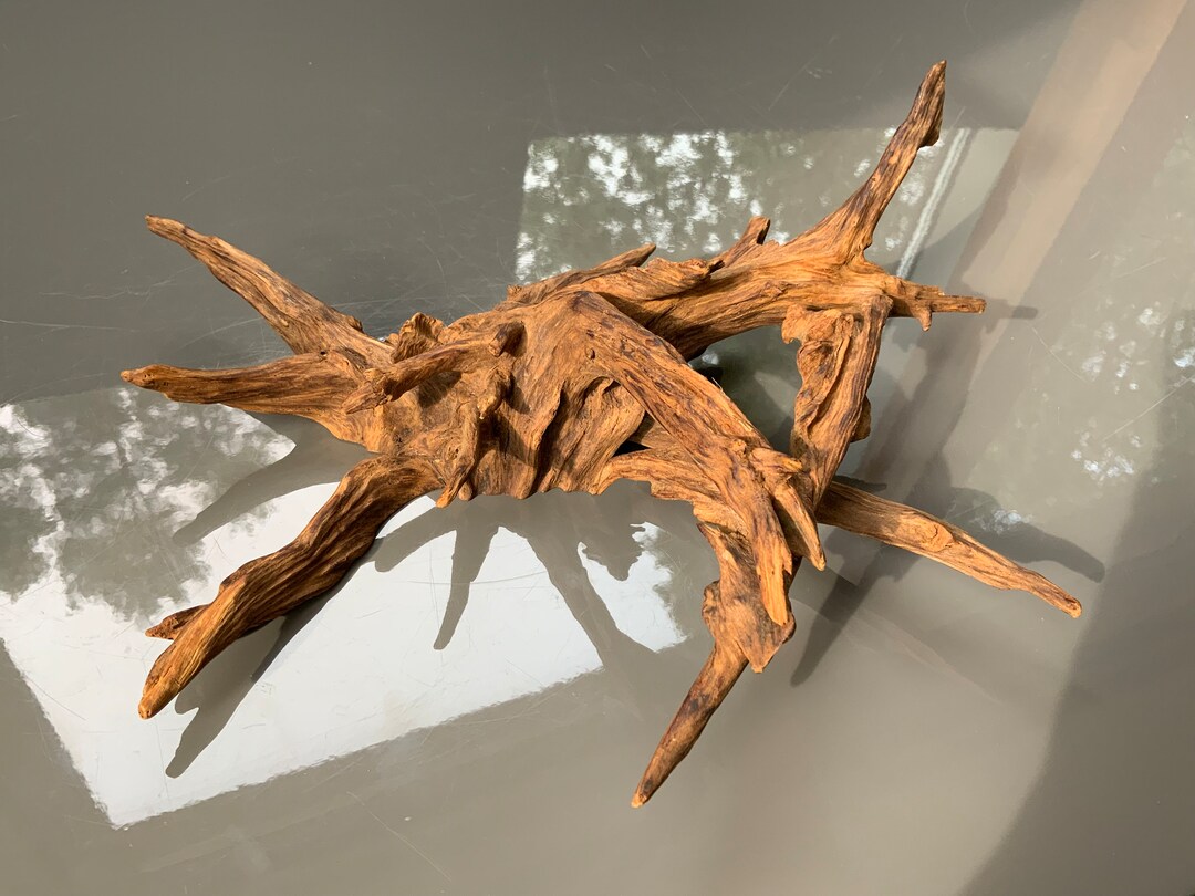 Driftwood Tree Roots Decor, Wall or Tabletop 10.2in X 10.6in X 6.2in - Etsy