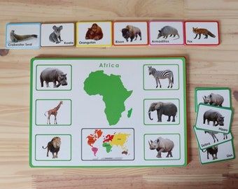 Montessori Animals and Continents Cards/montessori Flash Card/ Animals ...