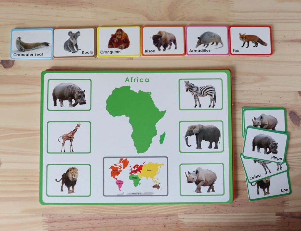 Montessori Animals and Continents Cards/montessori Flash Card/ Animals ...