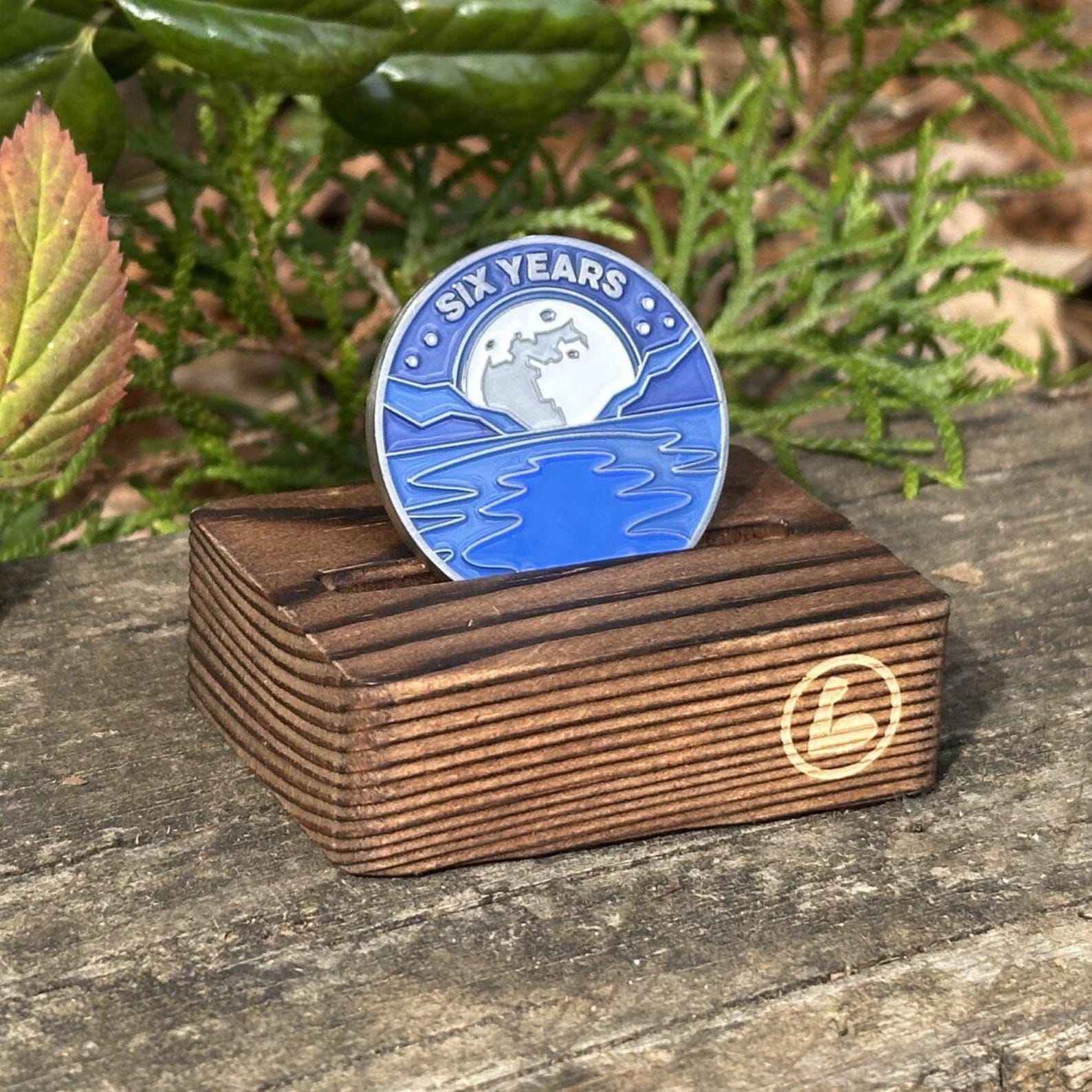 Six Years Sober Sobriety Coin - Etsy
