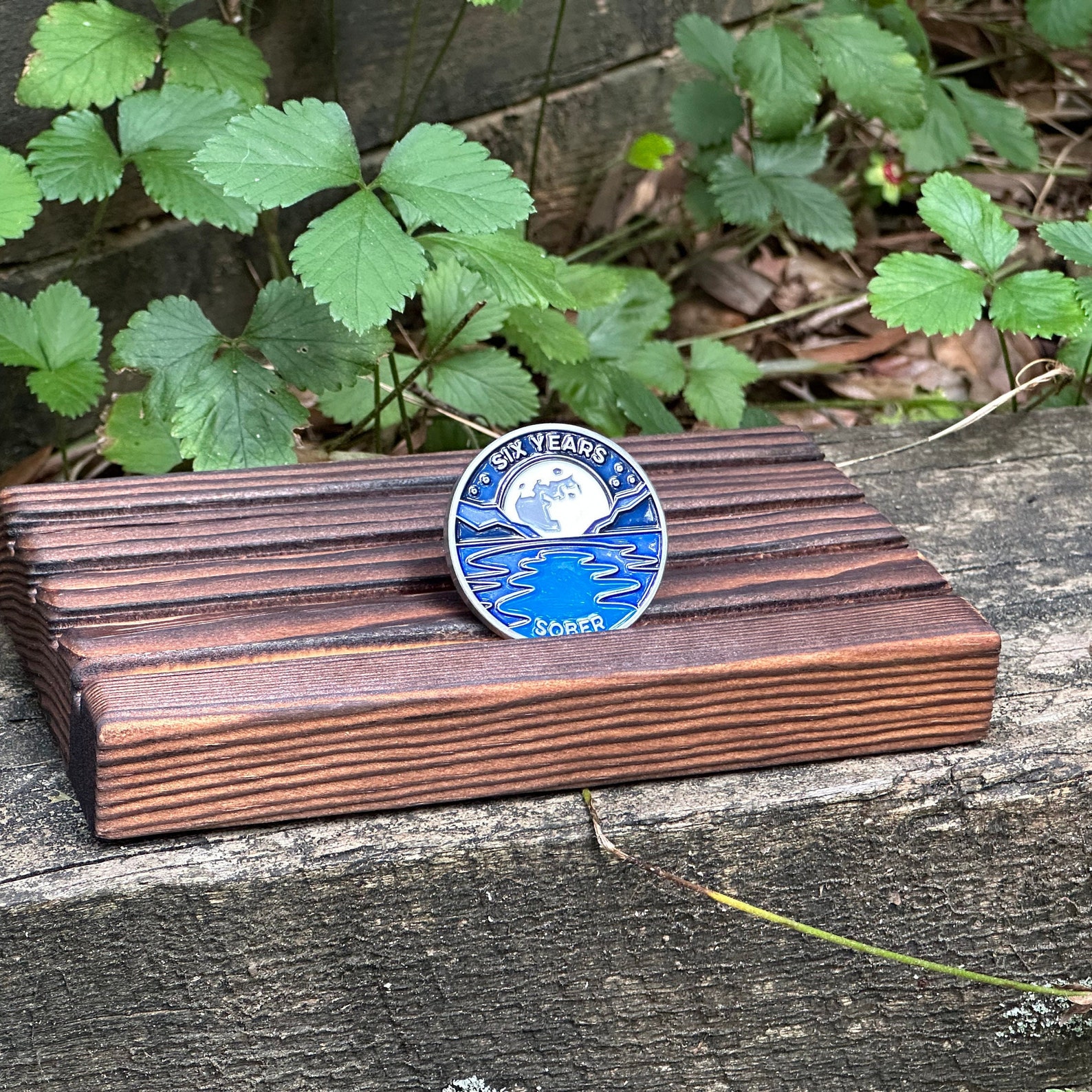 Six Years Sober Sobriety Coin - Etsy