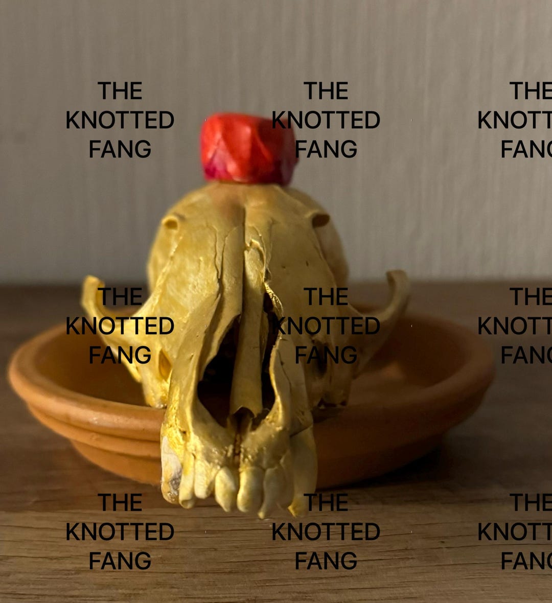 Fox Skull Incense Holder Ethical/handmade - Etsy