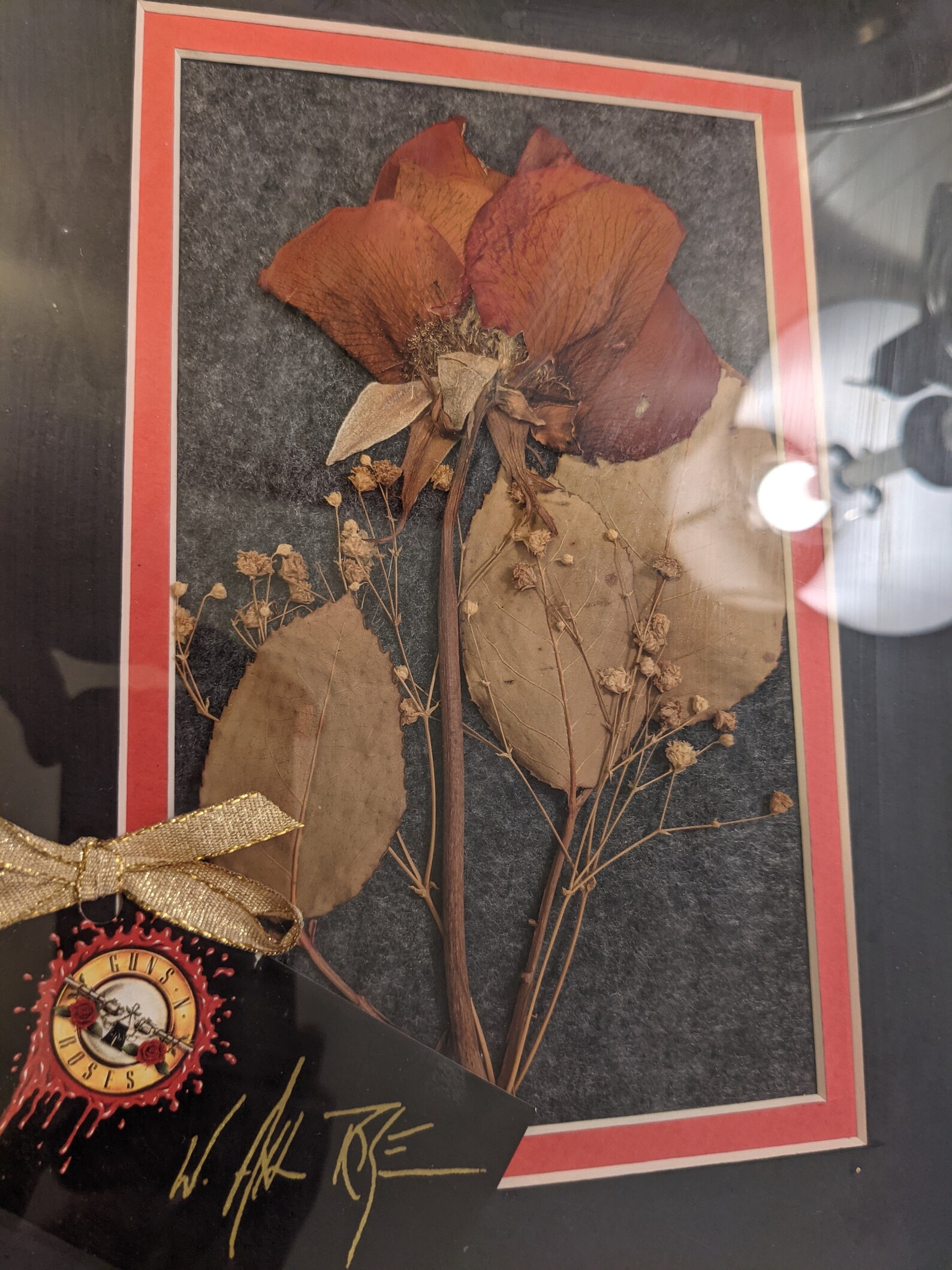 Framed W. Axl Rose Signature With Rose - Etsy